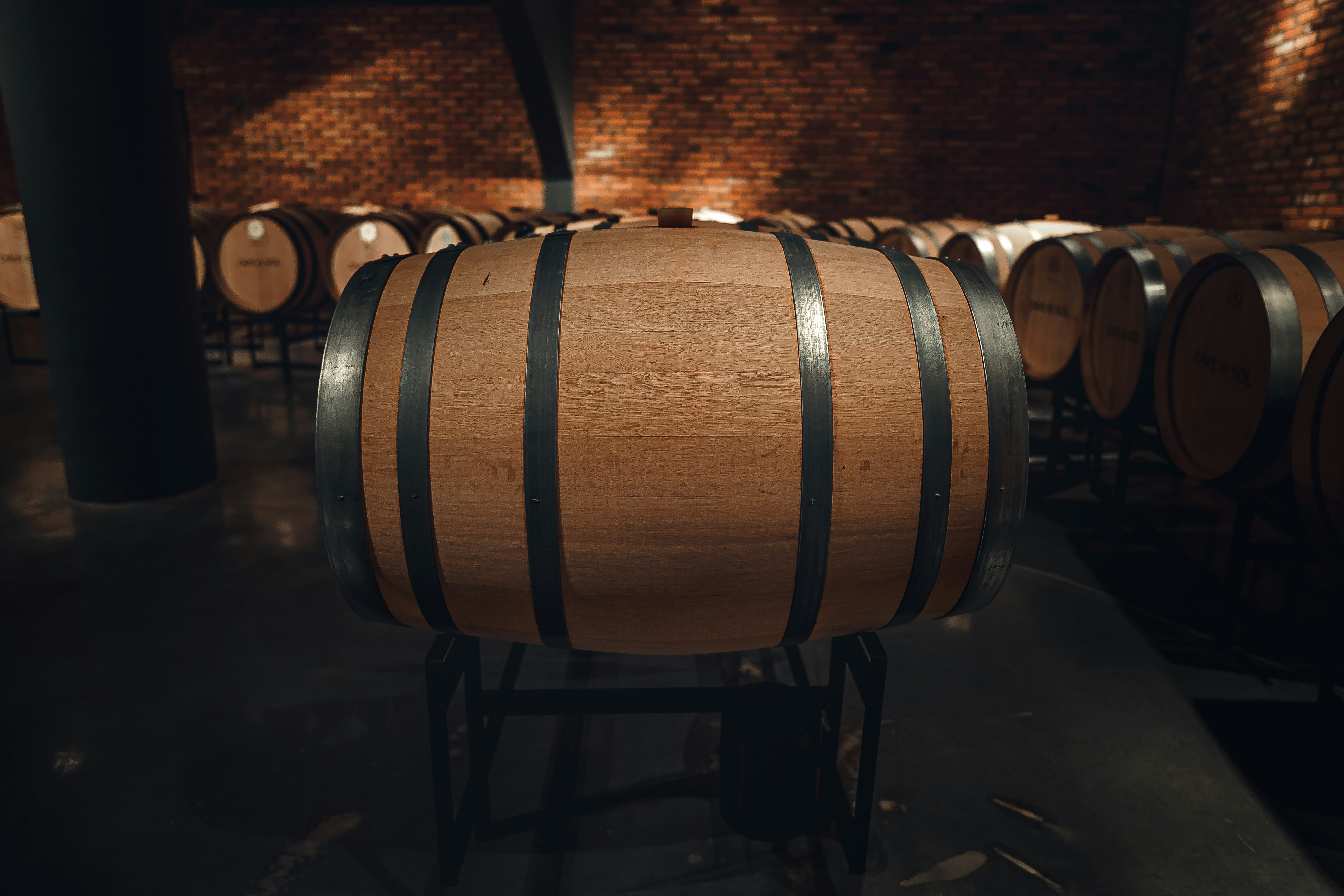 Test: Stor test av fatlagret Pinot Noir – VinArena – Din arena for vin ...